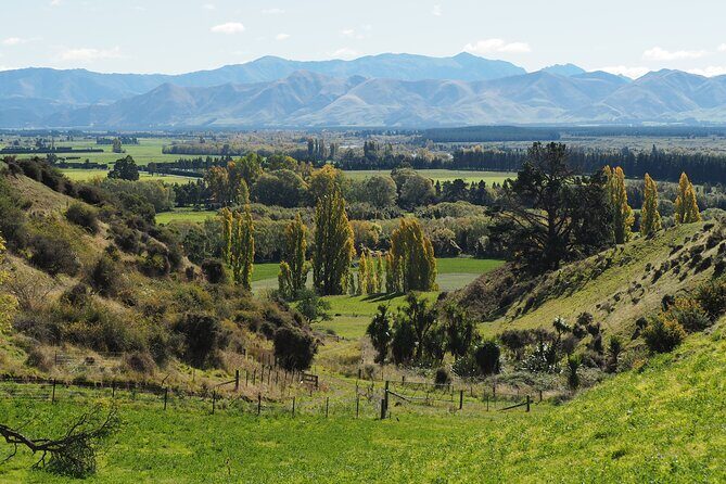 Merino Farm Experience - Key Points