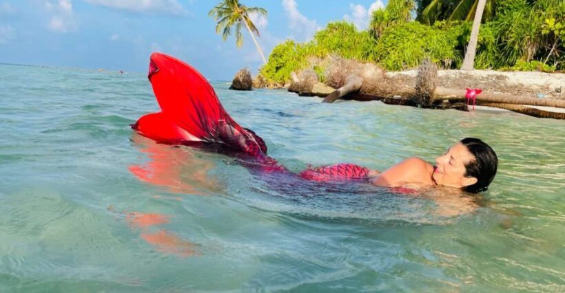Mermaid Experience - Key Points