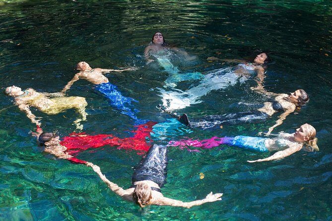 Mermaid for a Day Adventure - What the Tour Offers: A Snapshot
