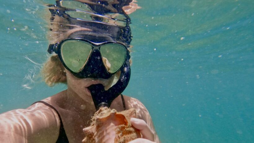 Mermaid Snorkel and Video Shoot - West Palm Beach - Underwater Photo & Video Keepsakes