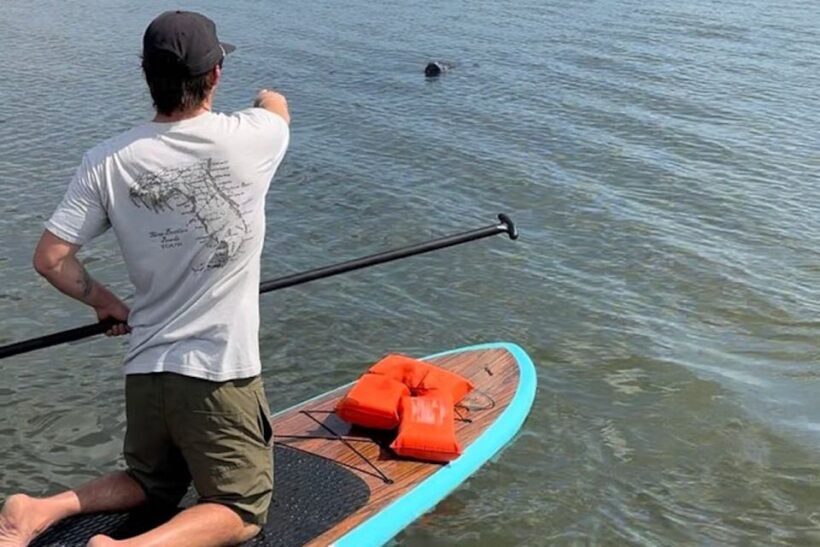 Merritt Island: Manatee Watching Paddle or Kayak Tour - A Closer Look at the Experience