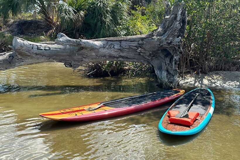 Merritt Island: Manatee Watching Paddle or Kayak Tour - FAQ