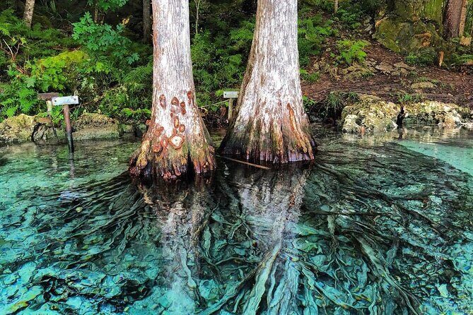 Merritts Mill Pond Eco Adventure - Practical Tips for Travelers