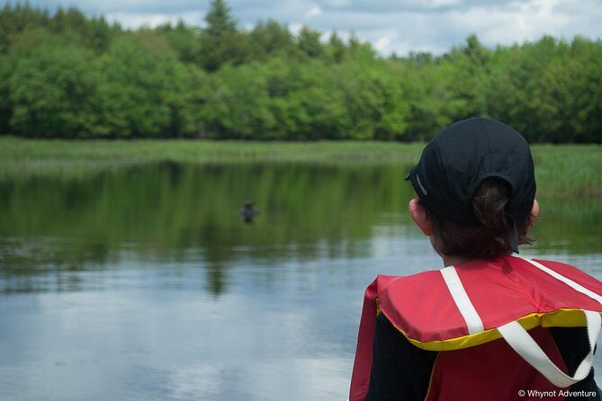 Mersey River Quickie Adventure - 2 Hours - Who Should Sign Up?