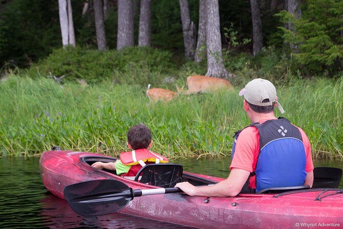 Mersey River Quickie Adventure - 2 Hours - Frequently Asked Questions