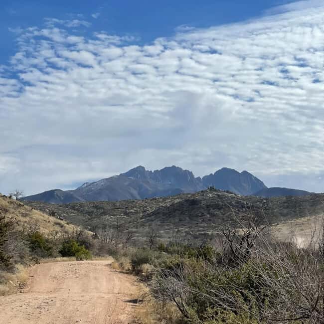 Mesa, AZ: Four Peaks Wilderness Off-Road Tour with Lunch - Key Points