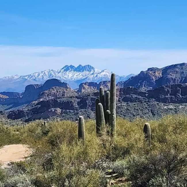 Mesa, AZ: Four Peaks Wilderness Off-Road Tour with Lunch - Practical Tips for Your Trip