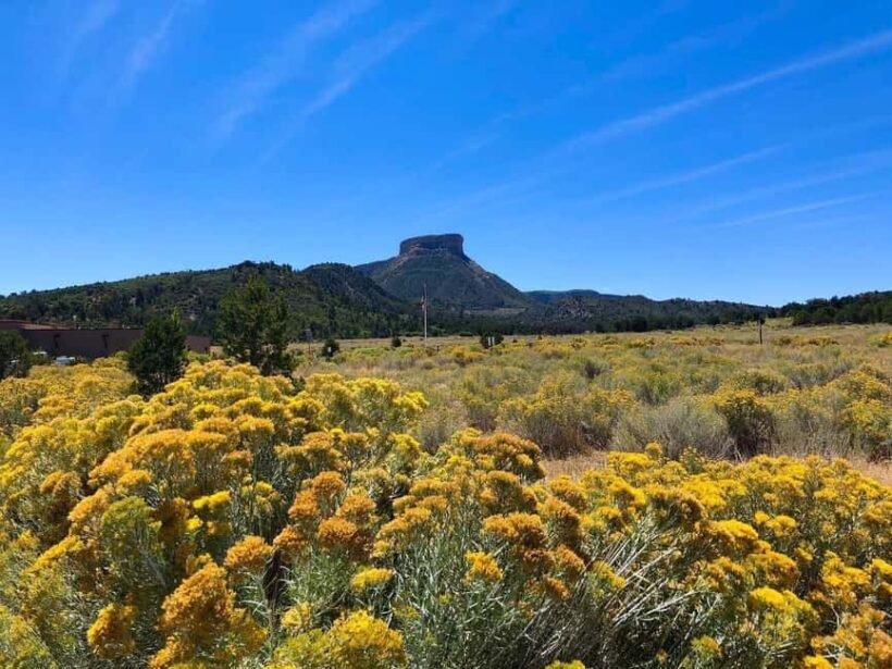 Mesa Verde: 700 Years Tour & Ranger-Guided Cliff House Visit - Who Will Love This Tour?