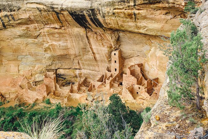 Mesa Verde National Park Half Day Tour - The Journey Begins: Meeting in Mancos