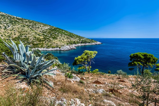 Mesmerizing Hvar Speed Boat Tour With Optional Wine Tasting - Since You Asked