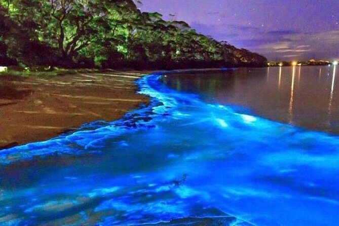 Mesmerizing Luminous Lagoon (Glistening Waters) Night Tour - Introduction