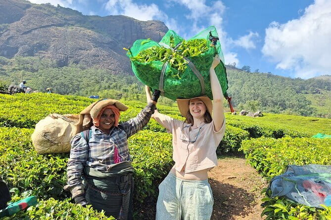 Mesmerizing Munnar: A Journey Through Paradise - FAQs