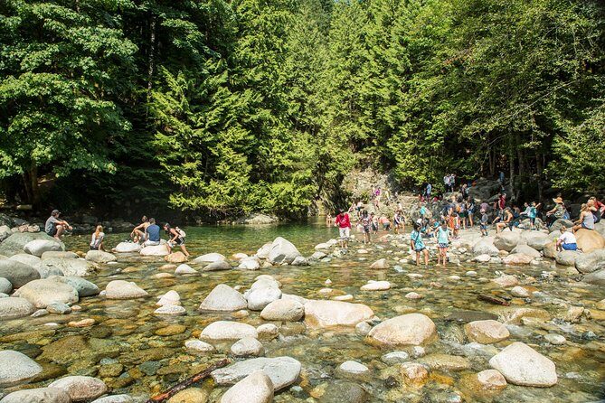 Mesmerizing Nature Walk in Lynn Canyon Park - An In-Depth Look at the Tour Experience