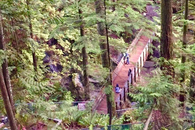 Mesmerizing Nature Walk in Lynn Canyon Park - Practical Tips for Travelers