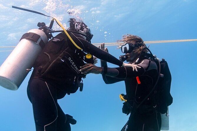 Mesmerizing Private SCUBA Diving Charter in Paradise from Waikiki - The Dive Sites and Marine Life