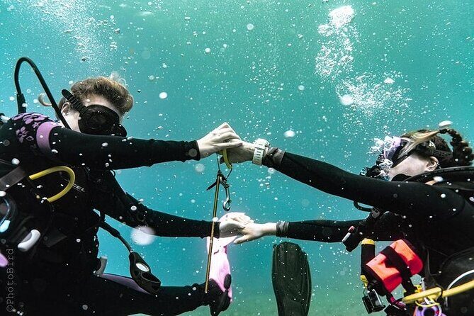 Mesmerizing Private SCUBA Diving Charter in Paradise from Waikiki - Snorkelers and Divers