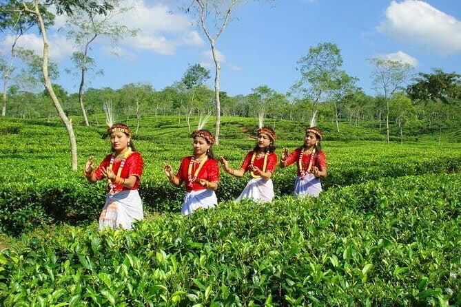 Mesmerizing Tour in Sajek Valley - Practical Details and What to Expect