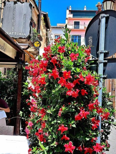 Messina, Savoca, Taormina e Castelmola - Final Thoughts: Why This Tour Is Worth Considering