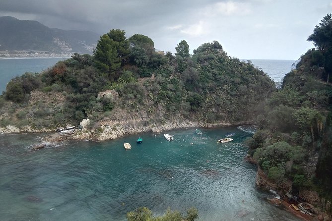 Messina Shore Special Tour of Taormina and Castelmola plus Panoramic Lunch - Key Points