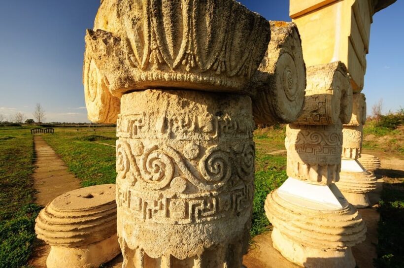 Metaponto: 3-Hour Private Guided Tour of Archeological Site - What It All Means for You