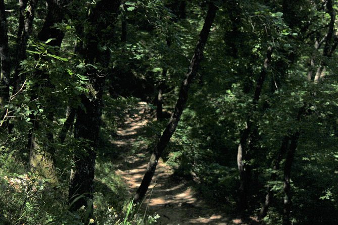 Meteora day trip from Thessaloniki - Why This Tour Offers Great Value