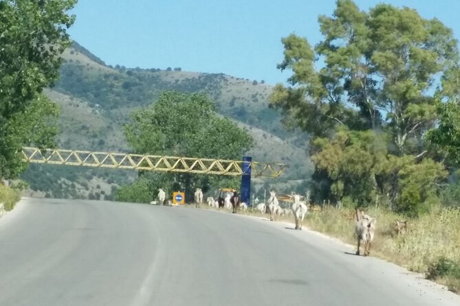 Meteora Tour by Coach From Corfu - Health and Accessibility