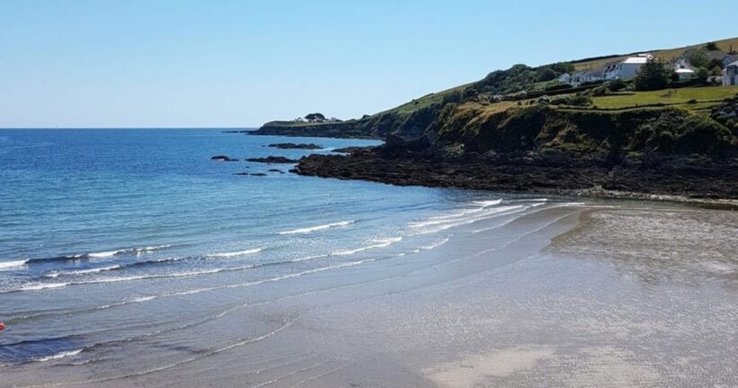 Mevagissey: Coast and Country Guided Walk - An In-Depth Look at the Mevagissey Coast and Country Walk