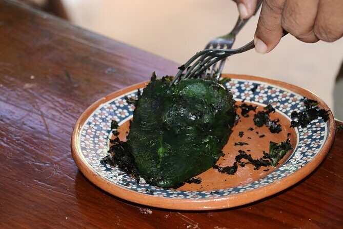 Mexican Cooking Class in Zihuatanejo de Azueta - What to Expect from the Mexican Cooking Class in Zihuatanejo