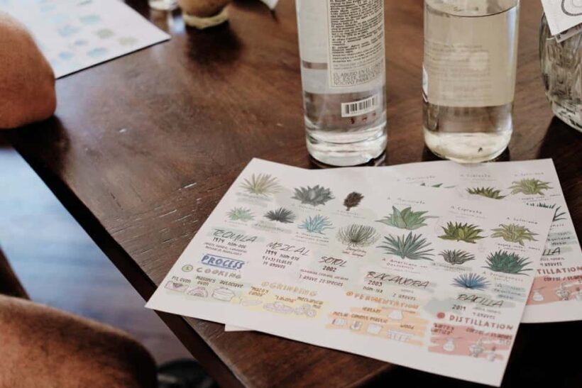 Mexican Spirits Tasting: Experience the Essence of Tradition - Final Thoughts