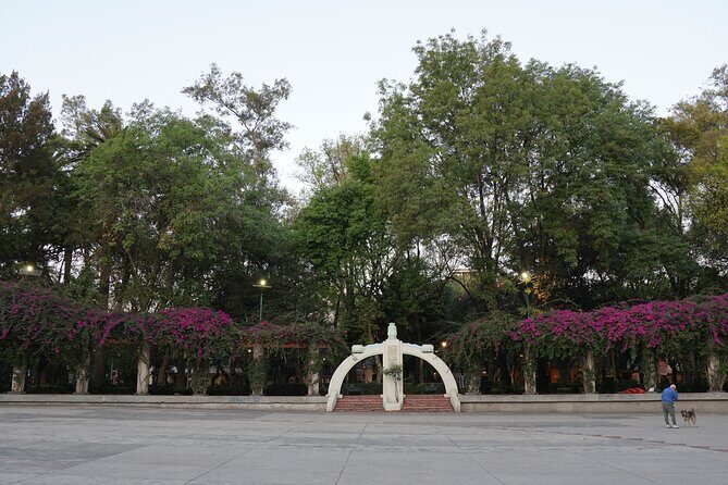 Mexico City: 19 City Highlights Bicycle Tour - What the Reviews Say