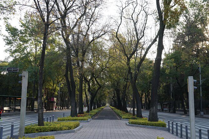 Mexico City: 19 City Highlights Bicycle Tour - Who Would Love This Experience?