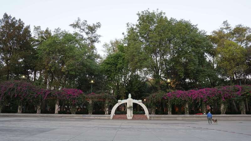 Mexico City: 19 City Highlights Bicycle Tour - Key Points