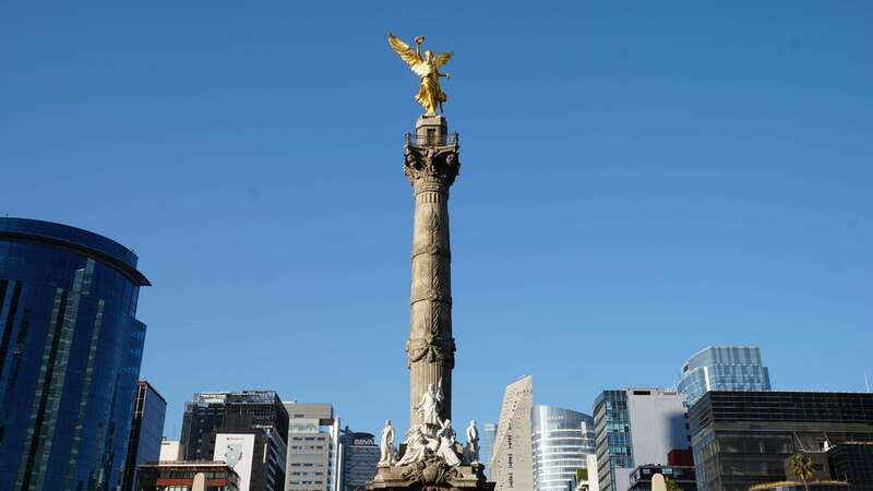 Mexico City: 19 City Highlights Bicycle Tour - Authentic Insights from Past Participants