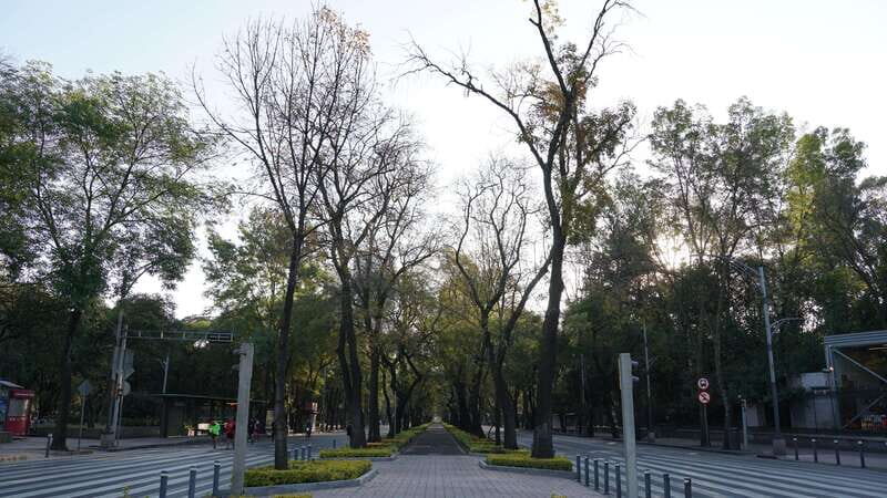 Mexico City: 19 City Highlights Bicycle Tour - The Sum Up