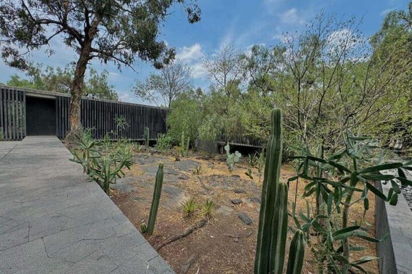 Mexico City: Anahuacalli Museum Entry Ticket and Guided Tour - The Building and Collection: More Than Just a Museum
