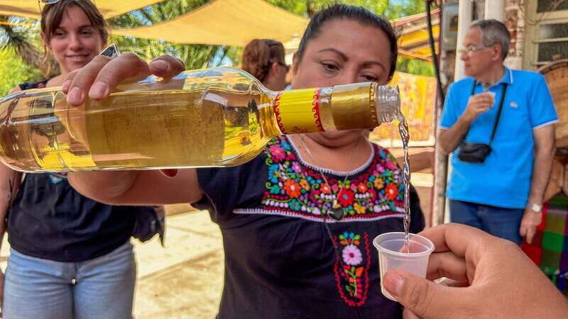Mexico City: Balloon Flight, Teotihuacan & Guadalupe Shrine - The Sum Up: Is It Worth It?