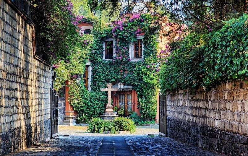 Mexico City: Bazaar Saturday, Convent of Carmen & San Angel - Who Will Enjoy This Tour?