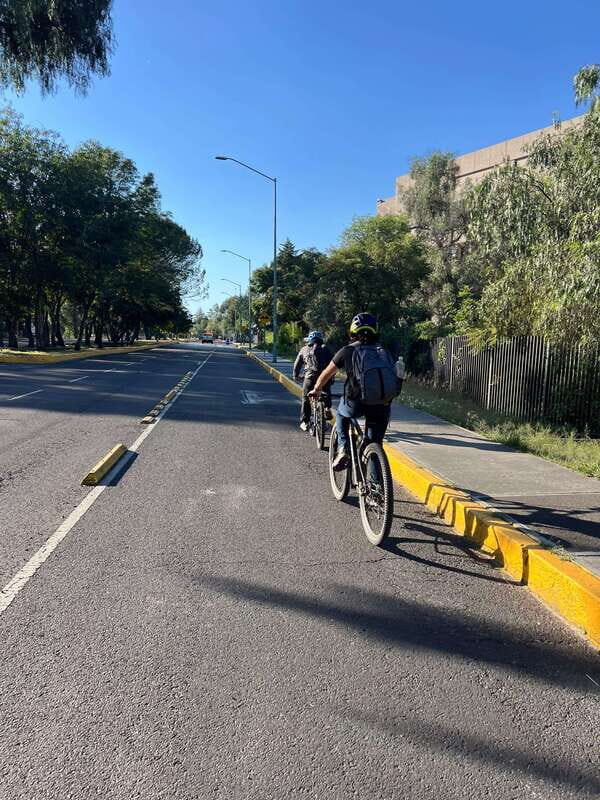 Mexico City: Bike, Cannabis, Nature, Food, Culture and History. - Final Thoughts: Is It for You?