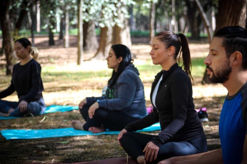 Mexico City: Chapultepec Park Yoga Class with Sound Bath - A Peaceful Yoga Break in the Heart of Mexico City