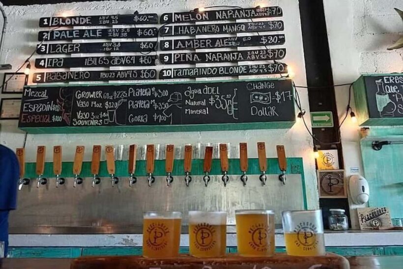 Mexico City: Craft Beer Tour Through La Roma - Final Thoughts