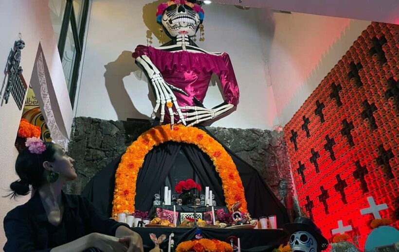 Mexico City: Day of the Dead House and craft workshop - Who Will Enjoy This Tour?