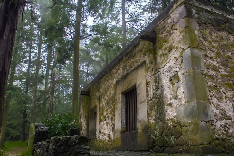 Mexico City: Desierto de los Leones Hike & Ex-Convent Tour - Key Points