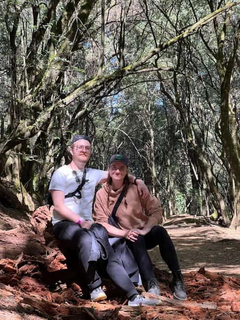 Mexico City: Desierto de los Leones Hike & Ex-Convent Tour - Who Should Consider This Tour?
