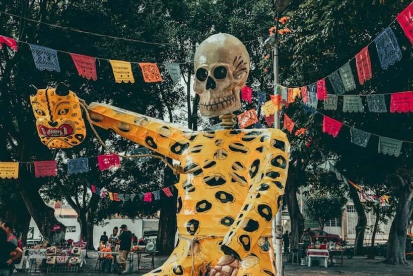 Mexico City: Dia de Muertos Tour to Atlixco - Key Points