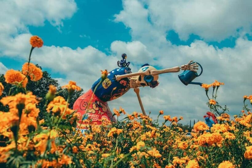 Mexico City: Dia de Muertos Tour to Atlixco - Who Will Love This Tour?