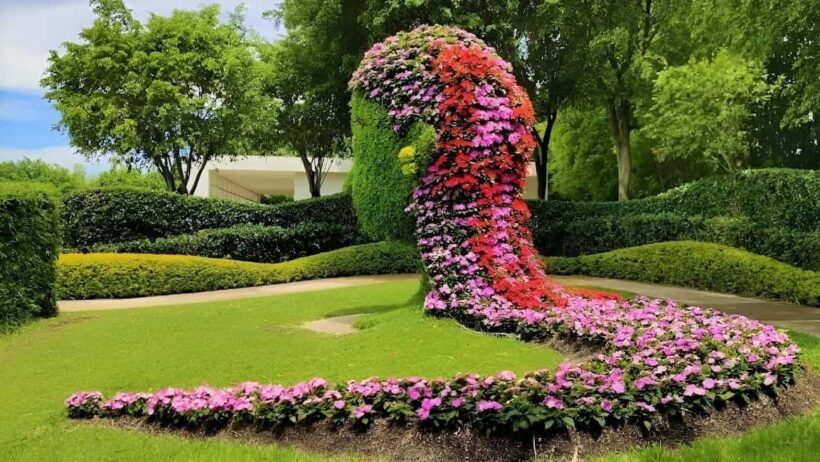 Mexico City: Explore Mexican Gardens and Tepoztlan Town - Who Is This Tour Best For?