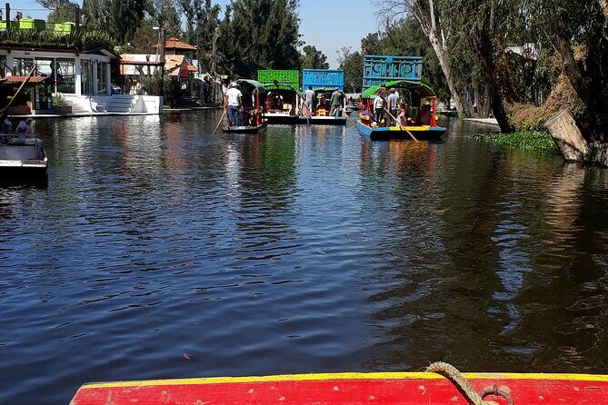 Mexico City Fast Discovery Tour with a Local Guide, Custom & Private - Authenticity and Quality: What Reviews Say
