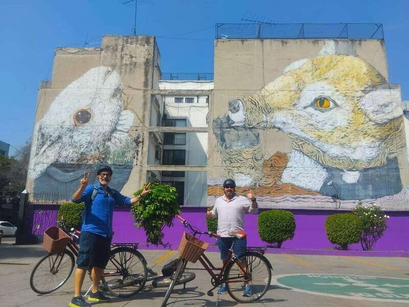 Mexico City Grafitti & Street art bike tour, find hidden gem - Who Should Consider This Tour?