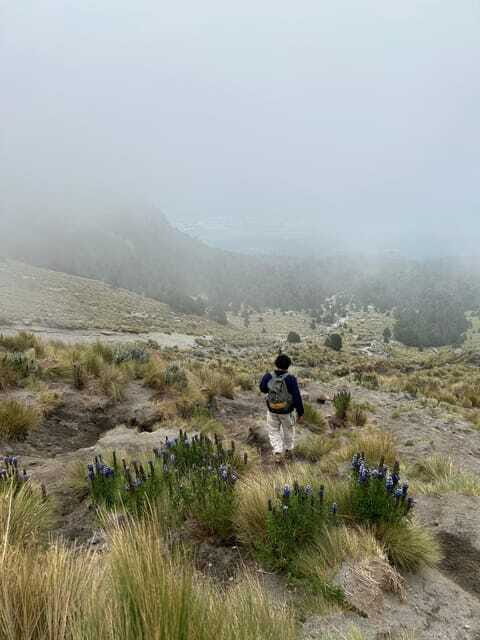 Mexico City: Hiking to la Malinche private day tour - Frequently Asked Questions
