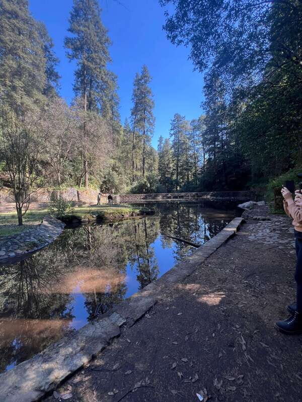 Mexico city: Hiking tour to Desierto de los leones - Discovering Desierto de los Leones: A Natural and Cultural Escape